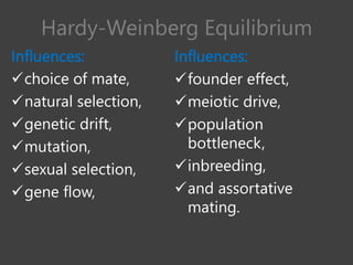 11. Hardy-Weinberg Principle.ppt Genetics | PPT