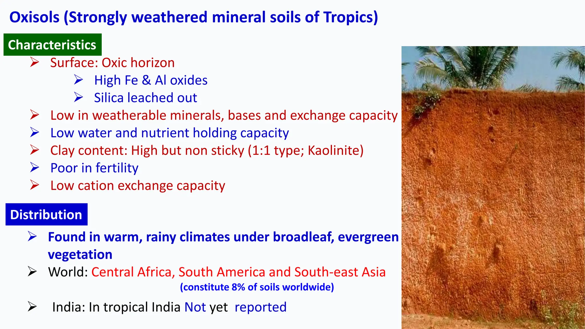 11. Soil orders.pptx ........soil resource inventory | PPTX