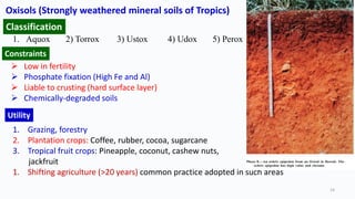 11. Soil orders.pptx ........soil resource inventory | PPTX
