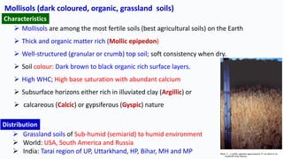 11. Soil orders.pptx ........soil resource inventory | PPTX