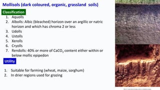 11. Soil orders.pptx ........soil resource inventory | PPTX