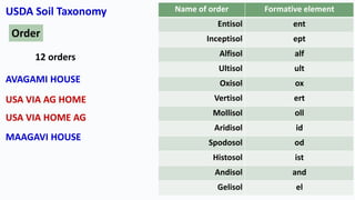 11. Soil orders.pptx ........soil resource inventory | PPTX
