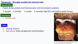 11. Soil orders.pptx ........soil resource inventory | PPTX