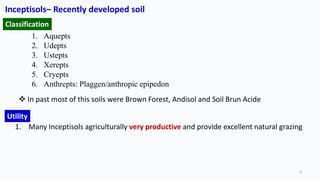 11. Soil orders.pptx ........soil resource inventory | PPTX