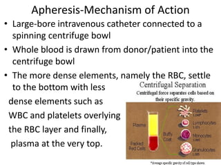 11. Lecture Apheresis by Riaz.pdf what is apheresis written precisely | PPT