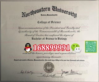 Northeastern University degree offer diploma Transcript | PPT