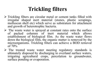 Waste Disposal Management in seafood plant .pptx