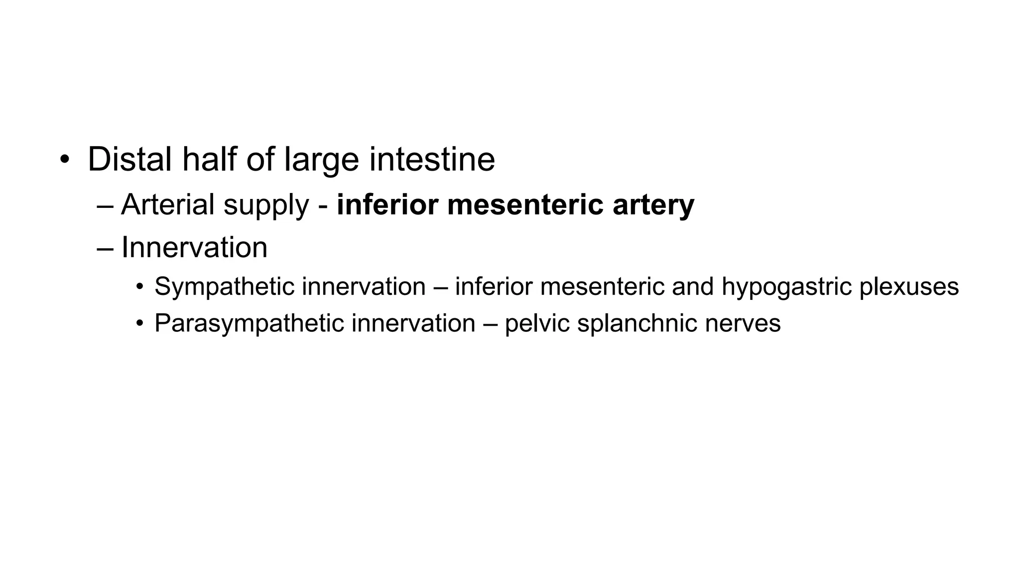 11. LARGE INTESTINE.ppt a brief description | PPT