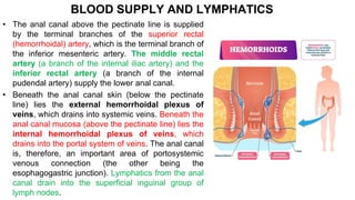 11. LARGE INTESTINE.ppt a brief description | PPT
