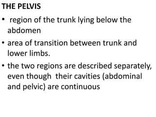 BONY PELVIS anatomy and pathophysiology with management | PPT