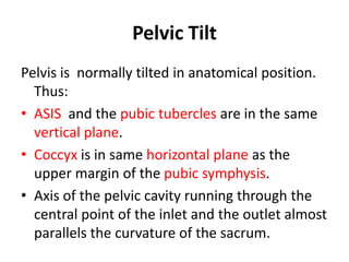 BONY PELVIS anatomy and pathophysiology with management | PPT
