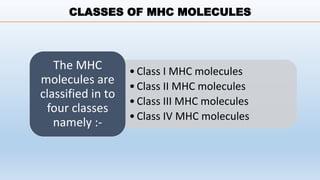 Major Histocompatibility Complex- Pharmaceutical Biotechnology ...