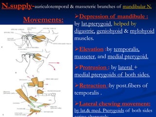 11. muscles of ma stication.ppt