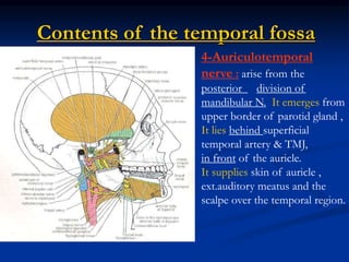 11. muscles of ma stication.ppt