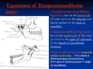 11. muscles o f mastication.ppt