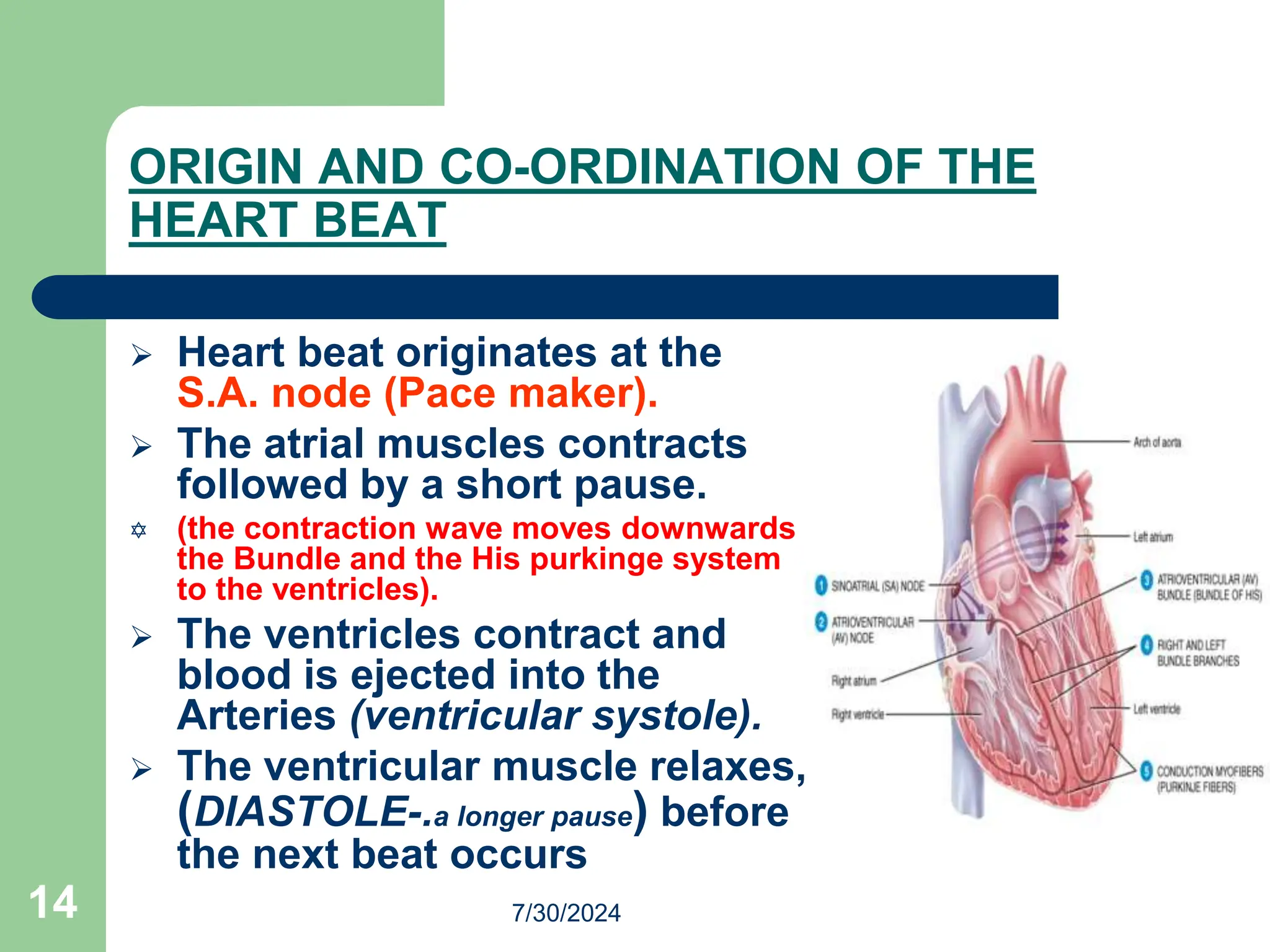 11. DRUGS ACTING ON THE CARDIOVASCULAR SYSTEM.ppt