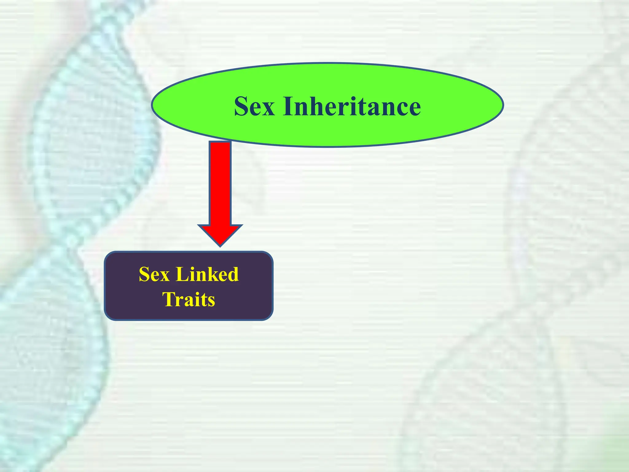 Sexinfluence, sex linked and sex limitedtraits | PDF