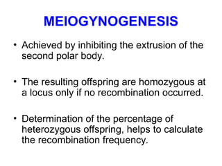MSc zoology fourth semester 11.CHROMOSOME MANIPULATION.ppt