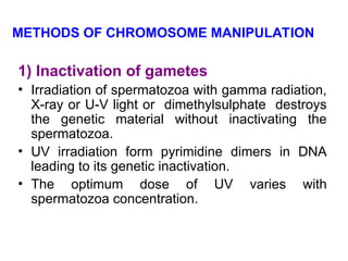 MSc zoology fourth semester 11.CHROMOSOME MANIPULATION.ppt