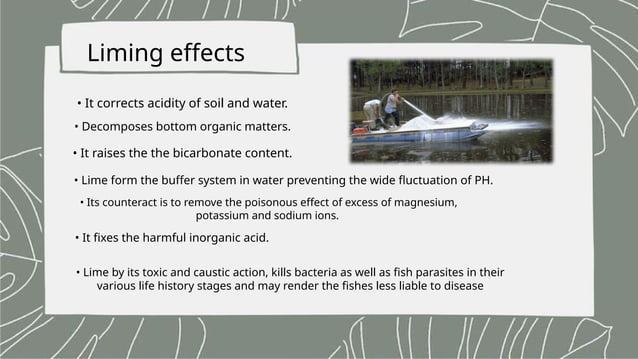 liming in aquaculture and its effect and applications.pptx | Chemistry ...