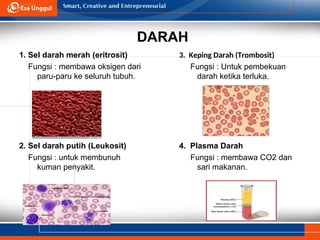 sistem peredaran darah pada manusia 1.ppt