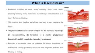 Hemostatic agents Pharmacology Pharmacy.pptx | Blood Disorders ...