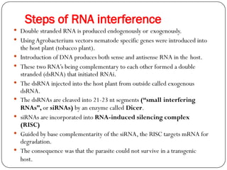 11._BIOTECHNOLOGY_AND_ITS_APPLICATIONS-1.pptx
