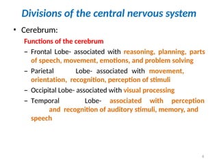 11. Central nervous system & its organization | PPTX