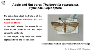 Pests of Cashew_Bionomics_IPM_Dr.UPR.pdf