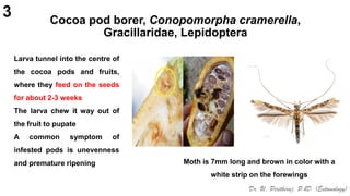 Pests of Cocoa_Identification_Dr.UPR.pdf