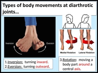 11. Skeletal system anatomy and pgysiology for nursing.ppt