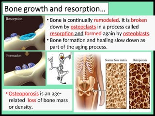 11. Skeletal system anatomy and pgysiology for nursing.ppt