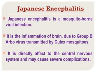 Japanese encephalitis educational presentation | PPTX