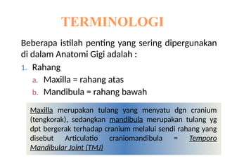 materi anatomi aanatomi gigi geligi.pptx