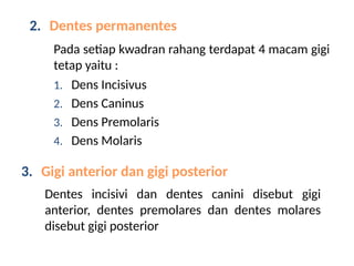 materi anatomi aanatomi gigi geligi.pptx