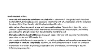 Drugs used in treatment of Leprosy (Antileprotic Drugs) | PPT