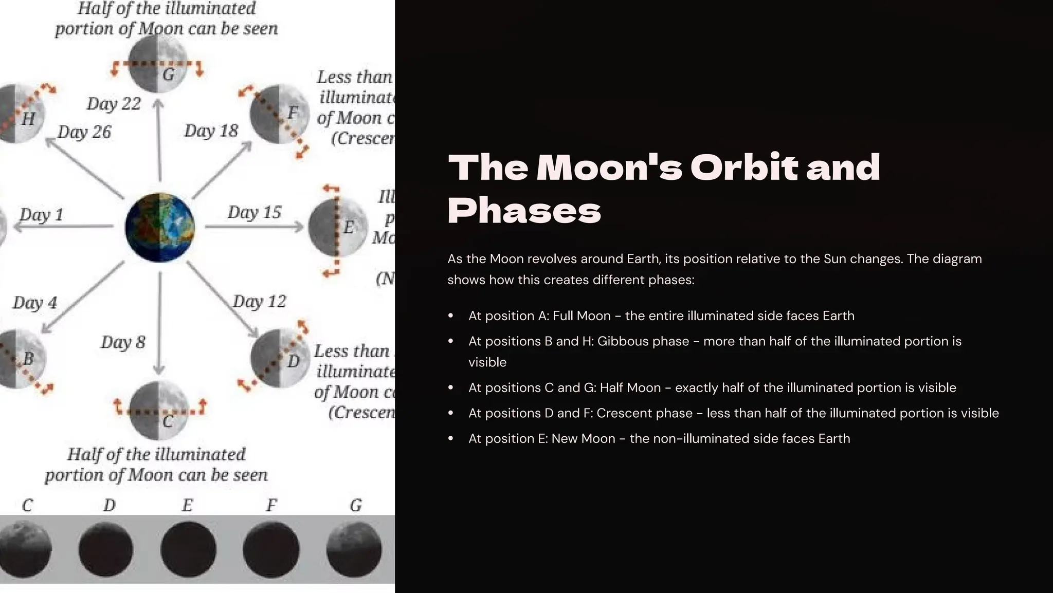 11.Keeping-Time-with-the-Skies.ppt/8th class science curiosity/by k ...