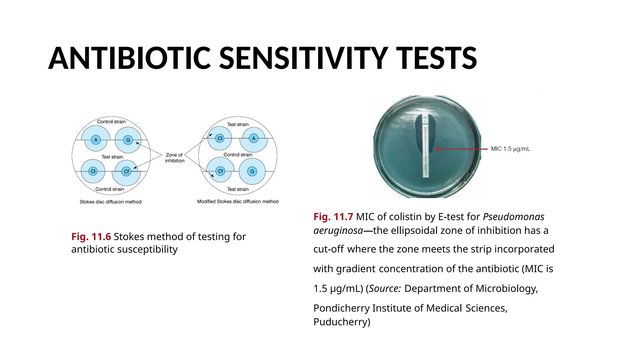11.Antimicrobialagents ppt for microbiology.pptx