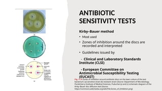11.Antimicrobialagents ppt for microbiology.pptx