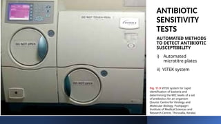 11.Antimicrobialagents ppt for microbiology.pptx