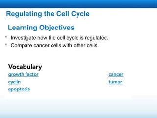 11.3 Regulating the cell cycle11.3 Regulating the cell cycle.pptx