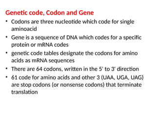 Comprehensive Overview of Protein Synthesis: Genetic Code, Translation ...