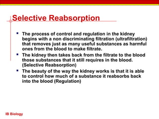 11.3 kidney | PPT | Chemistry | Science