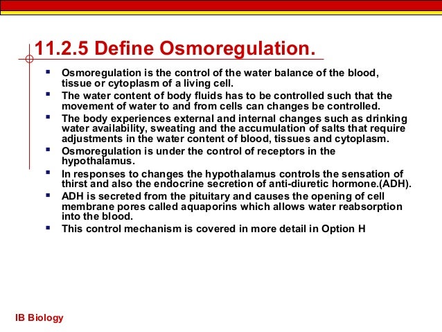 Osmoregulation Definition