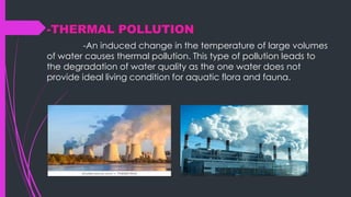pollution | PDF
