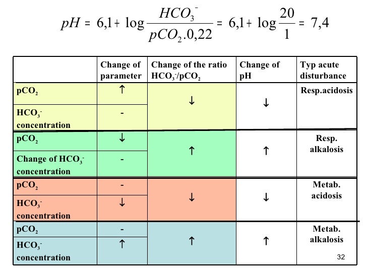 11 acid base regulation