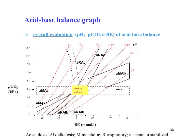 11 acid base regulation