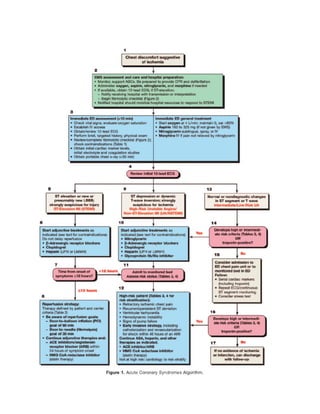 Acute coronary syndrome 2010 | PDF