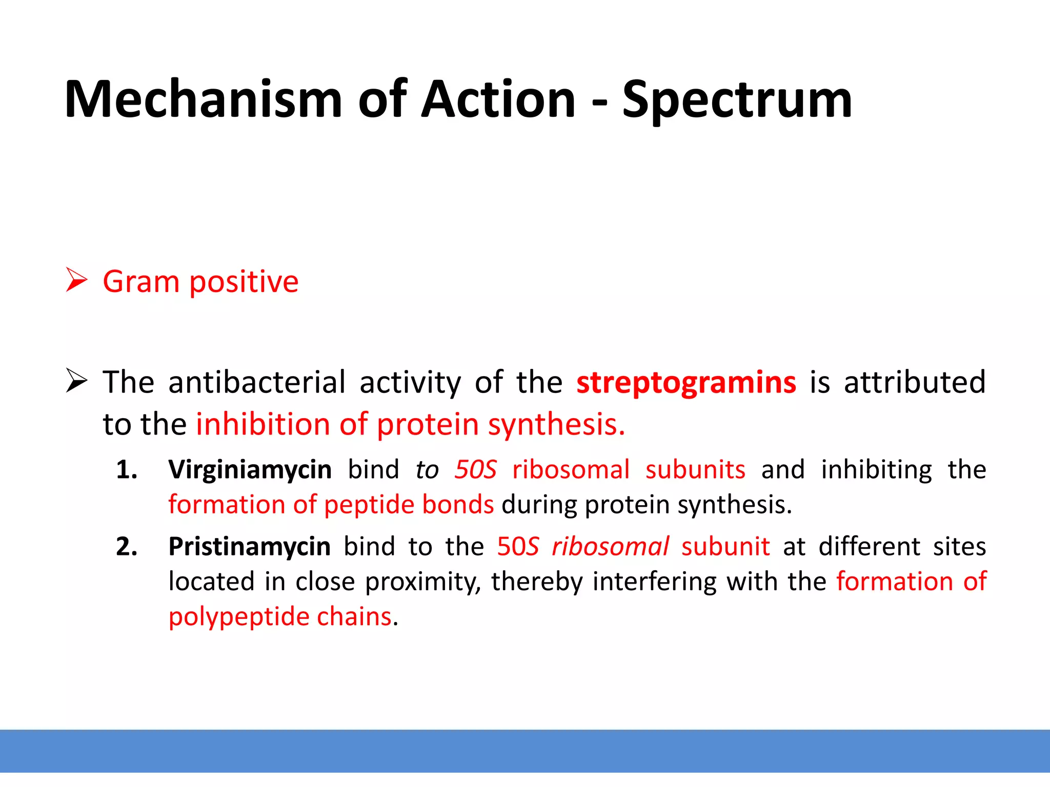 Antibiotics Groups - Streptogramins | PPTX