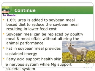soybean meal in animal feeding-ppt | PPT